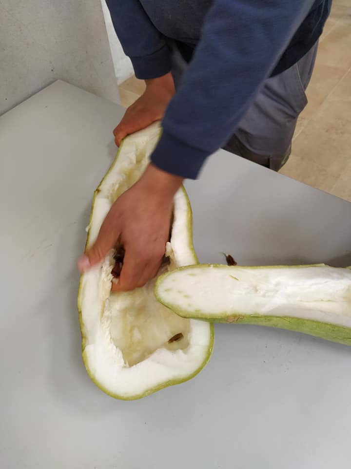 Escola Profissional de Agricultura e Desenvolvimento Rural de Ponte de Lima